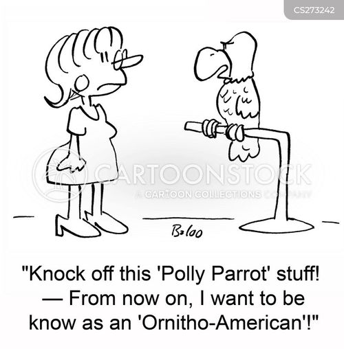 Polly The Parrot Cartoons and Comics - funny pictures from CartoonStock