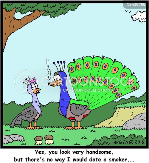 Peacock Feathers Cartoons and Comics - funny pictures from CartoonStock