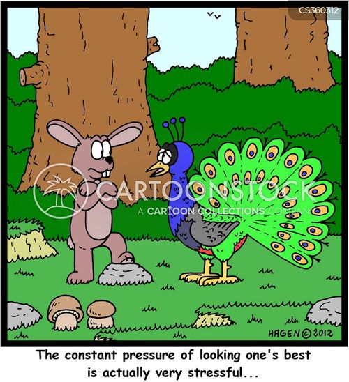 Peacock Feathers Cartoons and Comics - funny pictures from CartoonStock