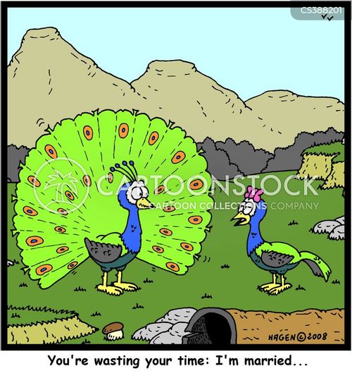 Mating Dance Cartoons and Comics - funny pictures from CartoonStock