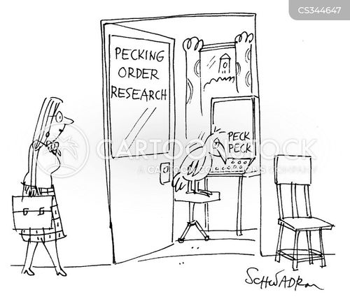 Ranked Order Voting Cartoons and Comics - funny pictures from CartoonStock