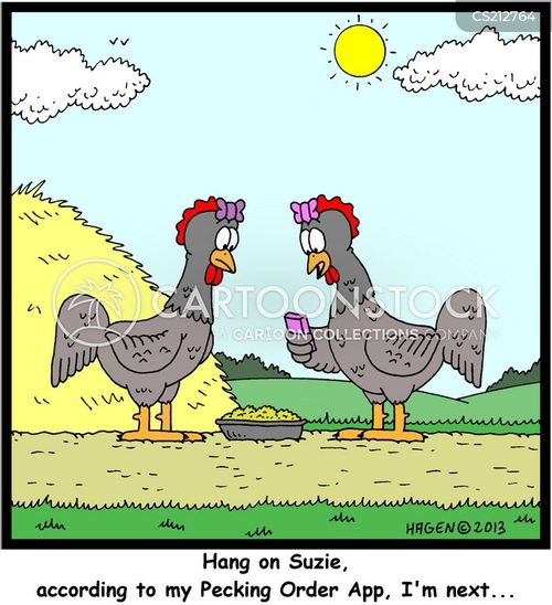 Chicken Cartoon | BackYard Chickens - Learn How to Raise Chickens