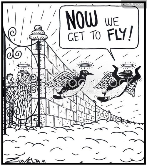 Flying Birds Cartoons and Comics - funny pictures from CartoonStock