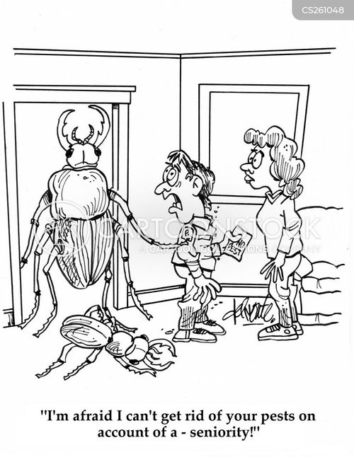 Pulling Rank Cartoons and Comics - funny pictures from CartoonStock