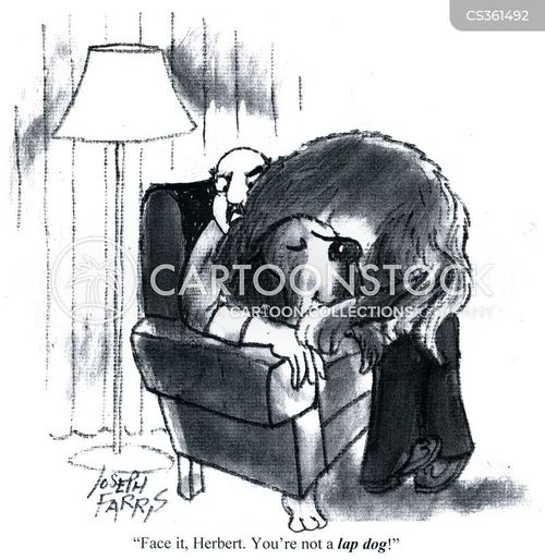 Accommodating Cartoons and Comics - funny pictures from CartoonStock