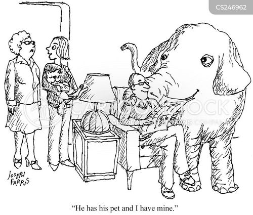 Cat Dialogue Cartoons and Comics - funny pictures from CartoonStock