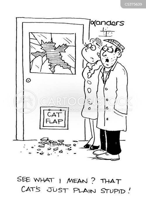 Stupid Cats Cartoons and Comics - funny pictures from CartoonStock