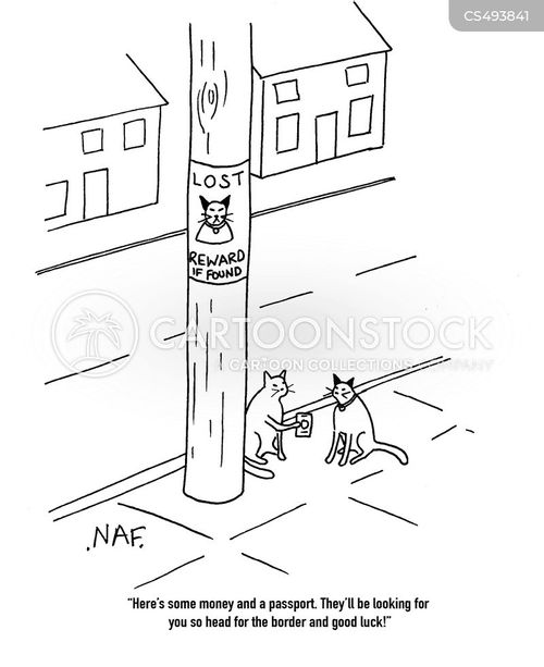 Lost Cats Cartoons and Comics - funny pictures from CartoonStock