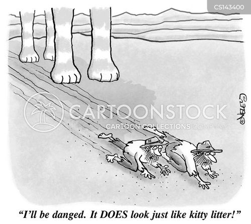 Cat Litter Cartoons and Comics - funny pictures from CartoonStock