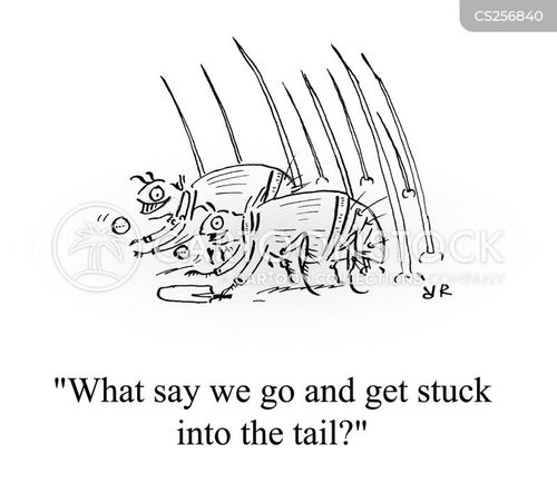 Flea Bite Cartoons and Comics - funny pictures from CartoonStock