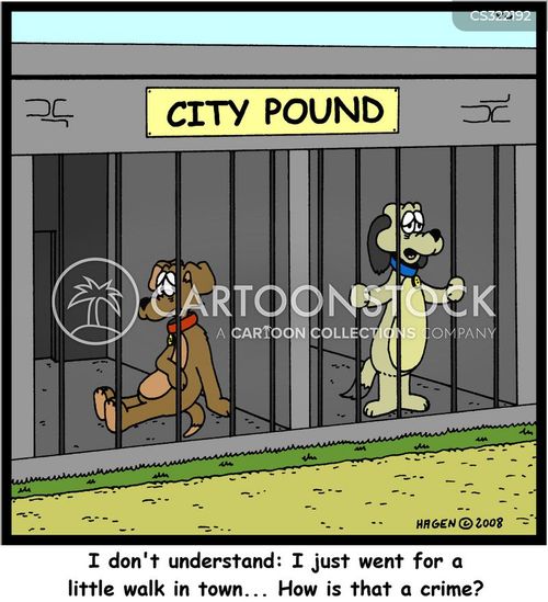 Dog Pound Cartoons and Comics - funny pictures from CartoonStock