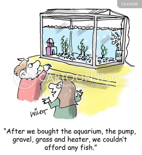 Fish Owner Cartoons and Comics - funny pictures from CartoonStock