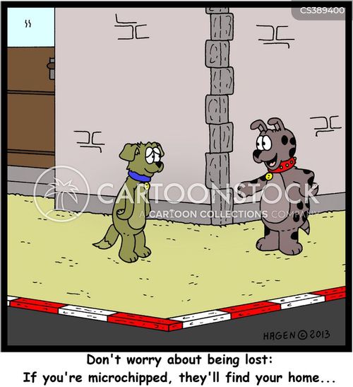 Microchipping Cartoons and Comics - funny pictures from CartoonStock