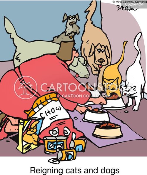 Reign Cartoons and Comics - funny pictures from CartoonStock