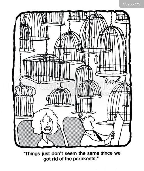 Parakeet Cartoons and Comics - funny pictures from CartoonStock