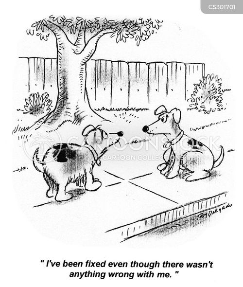 Getting Fixed Cartoons and Comics - funny pictures from CartoonStock