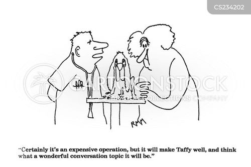 Vet's Bill Cartoons and Comics - funny pictures from CartoonStock