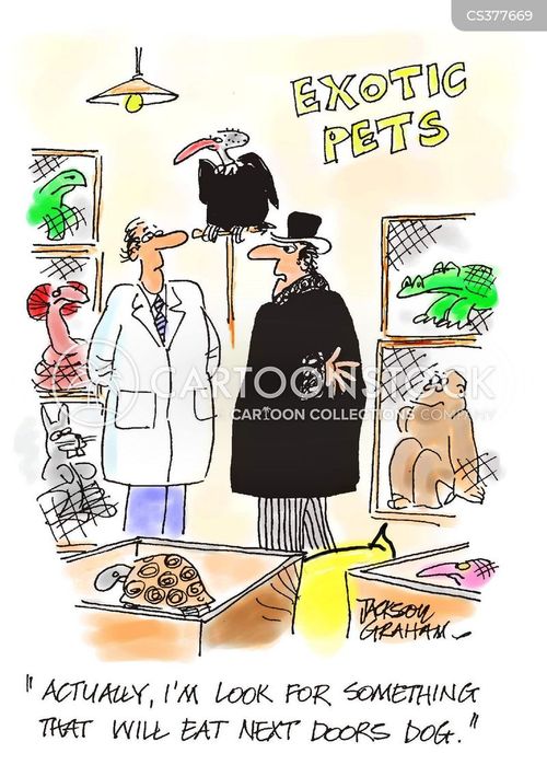 Next Door Neighbour Cartoons and Comics - funny pictures from CartoonStock