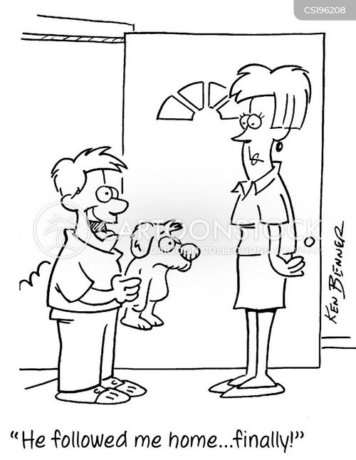 Stray Dog Cartoons and Comics - funny pictures from CartoonStock