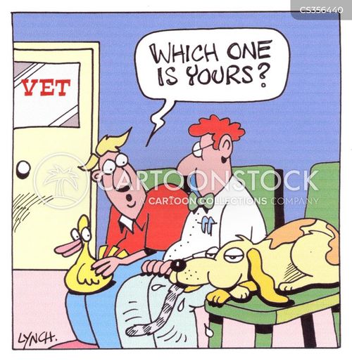 Vet-approved Diets Cartoons and Comics - funny pictures from CartoonStock