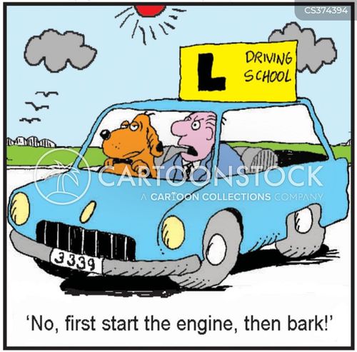 New Drivers Cartoons and Comics - funny pictures from CartoonStock