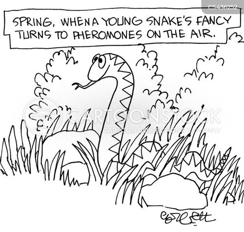 Cold Blood Cartoons and Comics - funny pictures from CartoonStock