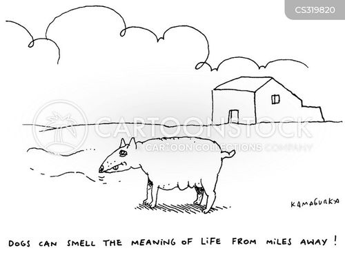 Self-imposed Limitations Cartoons and Comics - funny pictures from ...