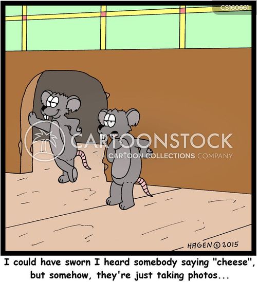 Say Cheese Cartoons and Comics - funny pictures from CartoonStock