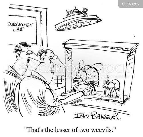 Weevil Cartoons and Comics - funny pictures from CartoonStock