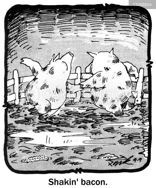 Sty Cartoons and Comics - funny pictures from CartoonStock