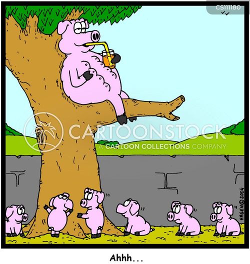 Baby Pig Cartoons and Comics - funny pictures from CartoonStock