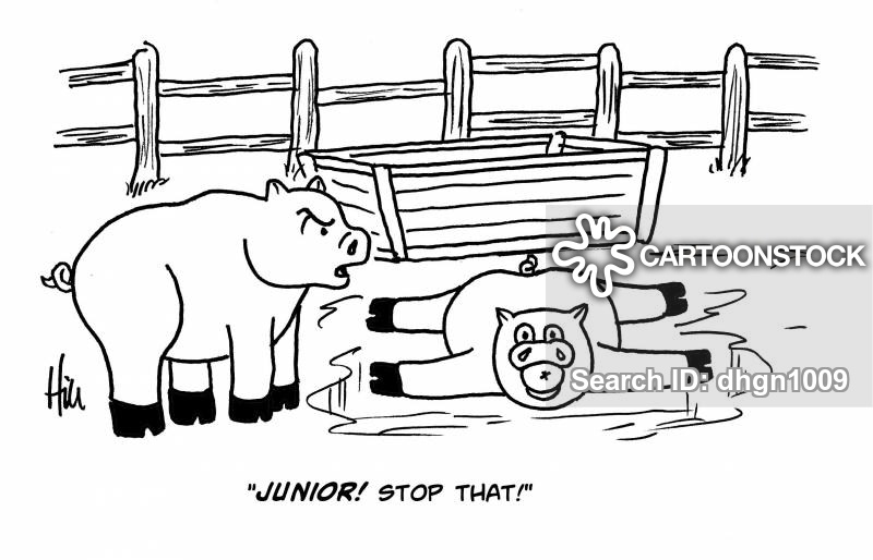Swine Farming Cartoons and Comics - funny pictures from CartoonStock