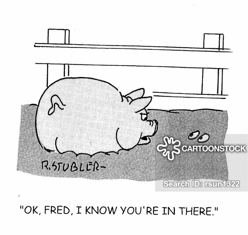 Hog Farm Cartoons and Comics - funny pictures from CartoonStock