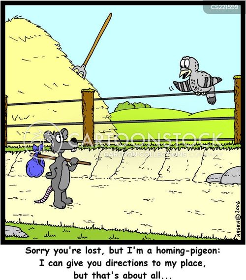 Ramblers Rambling Cartoons and Comics - funny pictures from CartoonStock