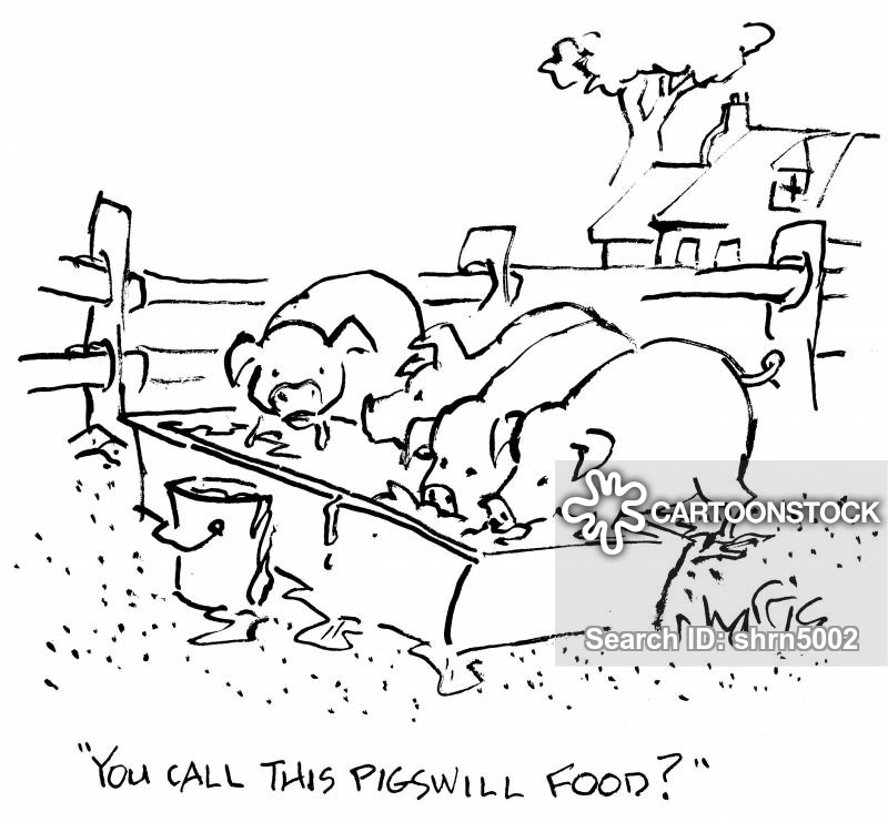Pig Trough Cartoons and Comics - funny pictures from CartoonStock