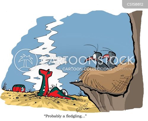 First Flight Cartoons and Comics - funny pictures from CartoonStock