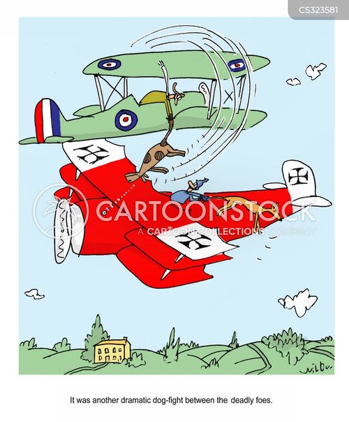 Dog Fight Cartoons and Comics - funny pictures from CartoonStock