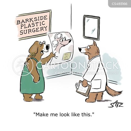 Photogenic Dogs Cartoons and Comics - funny pictures from CartoonStock