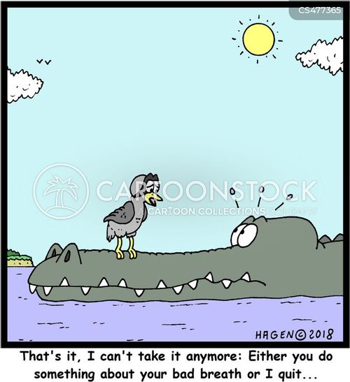 Plover Cartoons and Comics - funny pictures from CartoonStock