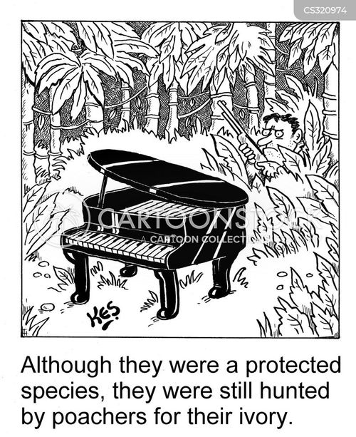 Wildlife Reserve Cartoons and Comics - funny pictures from CartoonStock