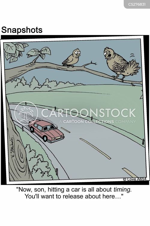 Bird Pooing Cartoons and Comics - funny pictures from CartoonStock