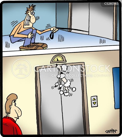 Mishap Cartoons and Comics - funny pictures from CartoonStock