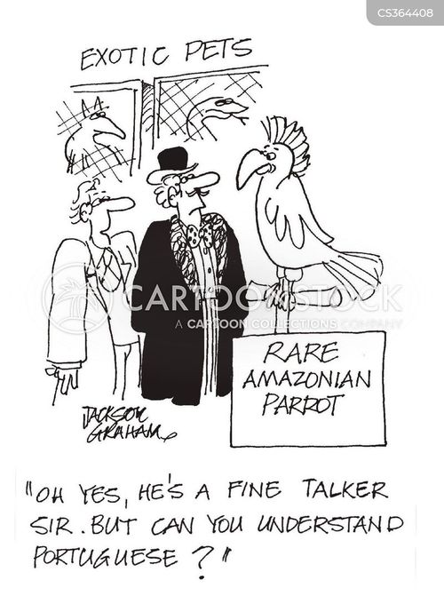 Portuguese Cartoons and Comics - funny pictures from CartoonStock