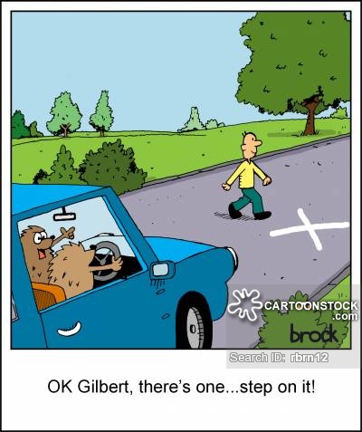 Hit And Run Cartoons and Comics - funny pictures from CartoonStock