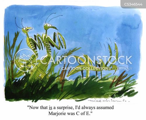 Preying Mantis Cartoons and Comics - funny pictures from CartoonStock