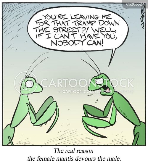Mantises Cartoons and Comics - funny pictures from CartoonStock