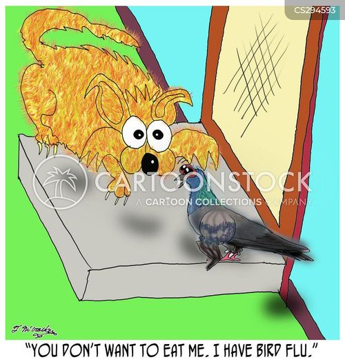 Chasing Birds Cartoons and Comics - funny pictures from CartoonStock