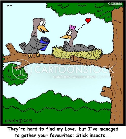 Stick Insect Cartoons and Comics - funny pictures from CartoonStock