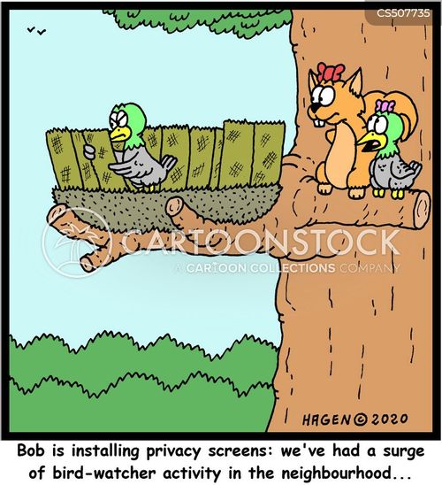 Privacy Screen Cartoons and Comics - funny pictures from CartoonStock
