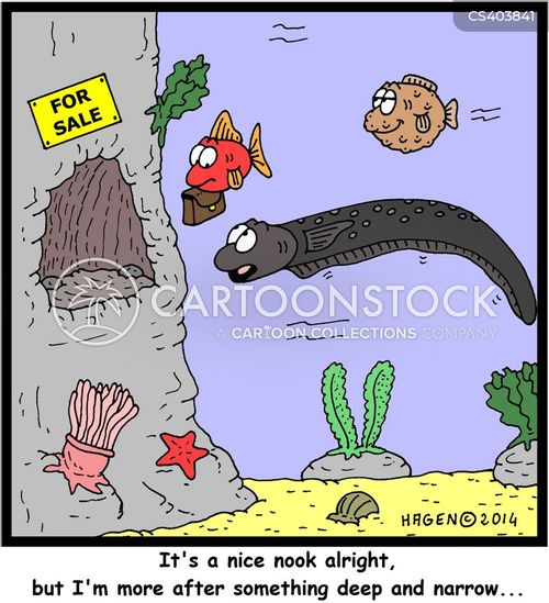 Nook Cartoons and Comics - funny pictures from CartoonStock